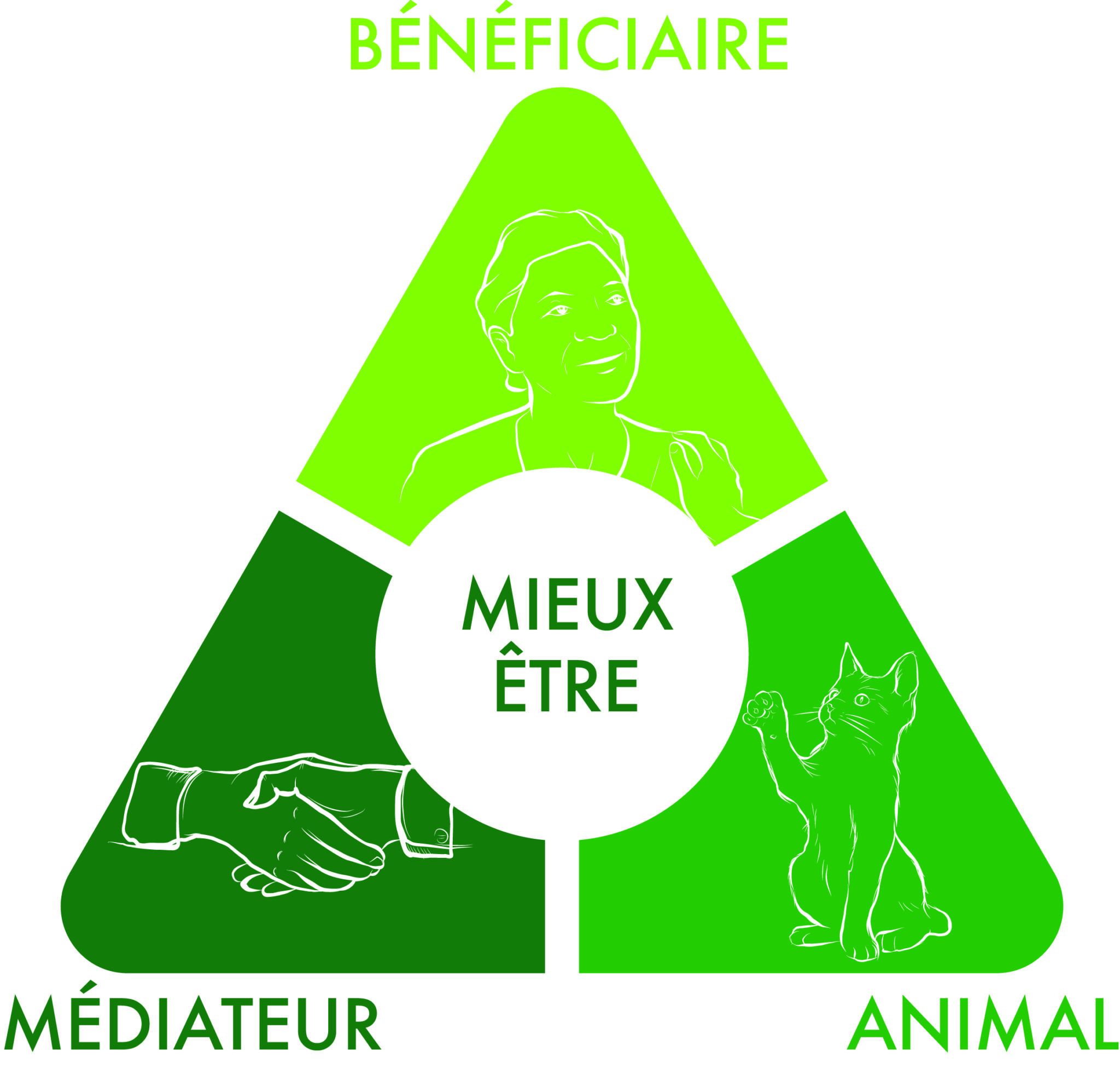 La Médiation Animale - Présentation - BMA